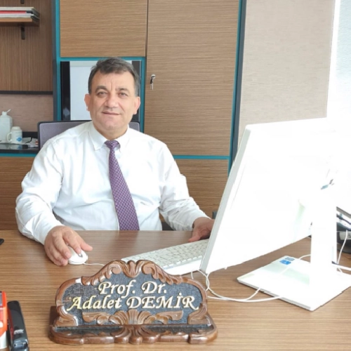 Prof. Dr. Adalet Demir - Yorumları Gör ve Randevu Al | Doktorsitesi