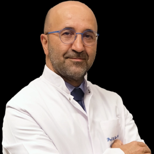 Prof. Dr. Javad Parvizi - Yorumları Gör ve Randevu Al | Doktorsitesi